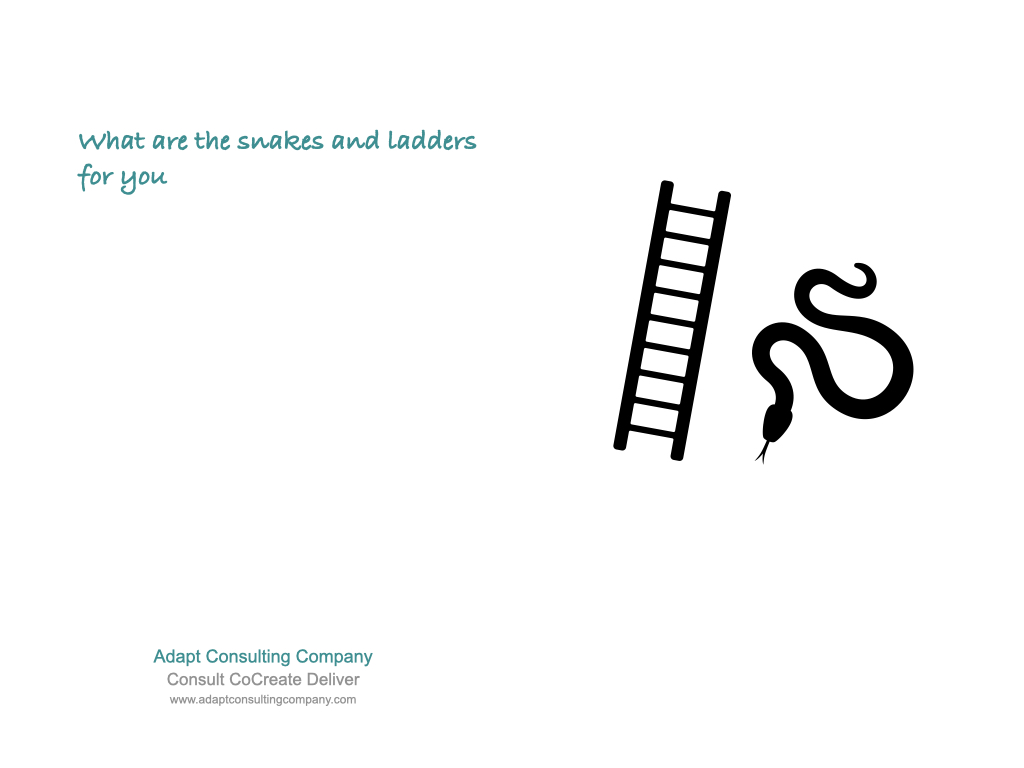 Adapt Consulting Company